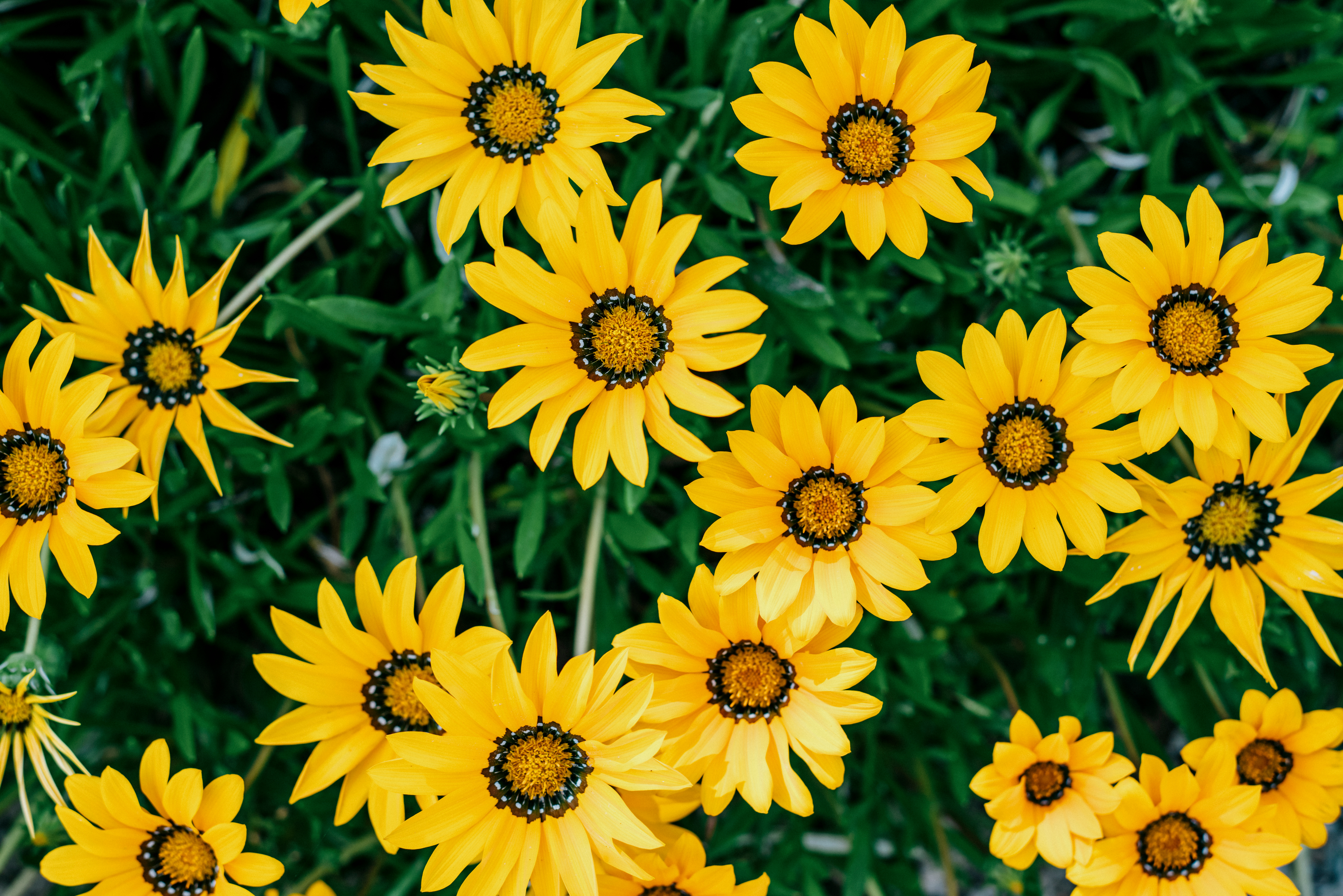 Earth Day Reflections: The Case for Smarter Action, Sharper Evidence, and Stronger Collaboration ...